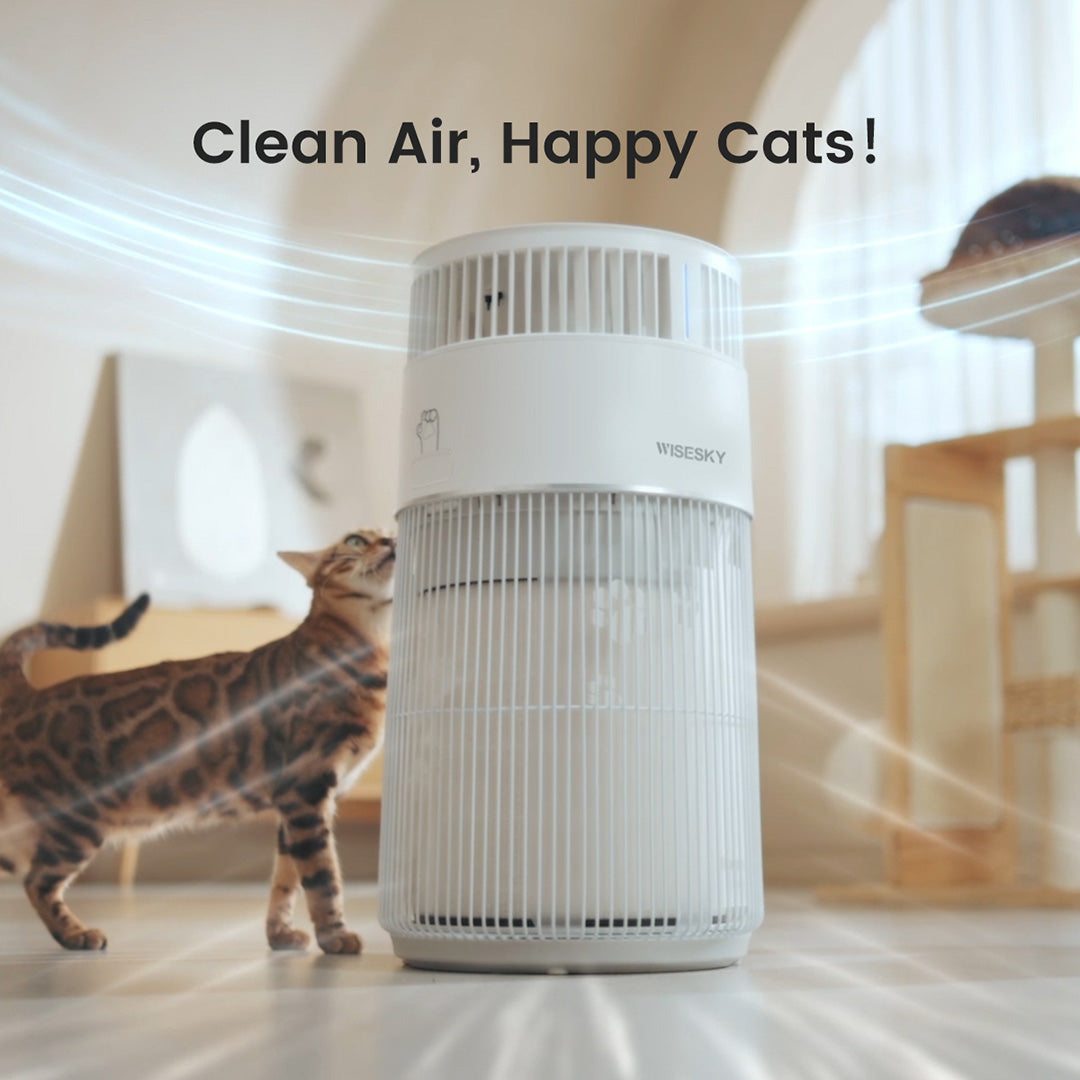 Wisesky W-cat Air Purifier for Home, Cats' Shedding Season Solution ...
