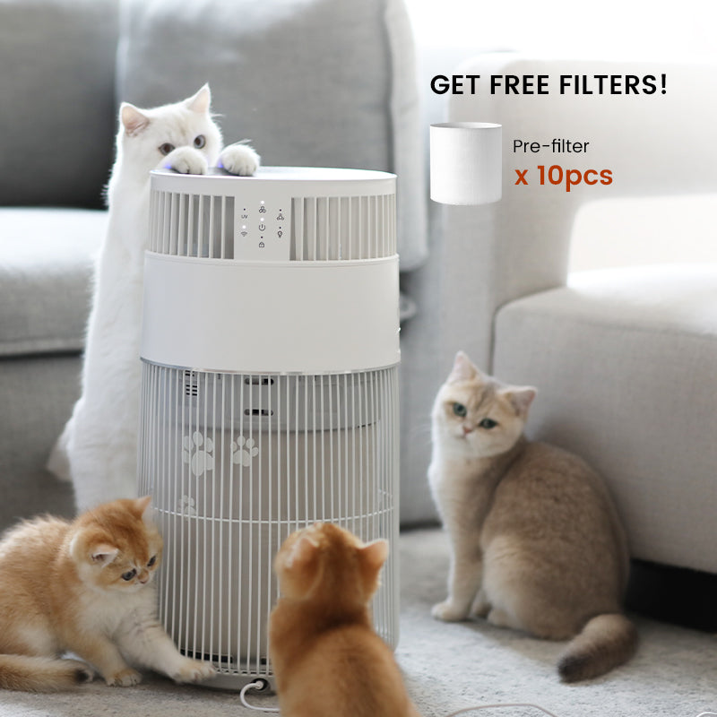 Wisesky W-cat Air Purifier for Home, 3-in-1 HEPA filter, covered 1644 ...