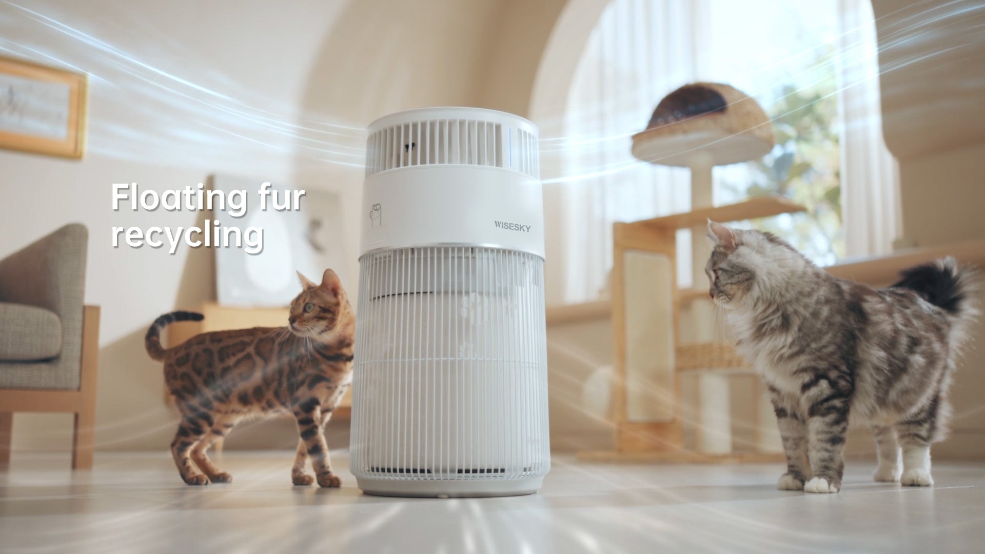 W-Cat Pet Air Purifier for Cats | 360° HEPA, Ultra-Quiet | WISESKY
