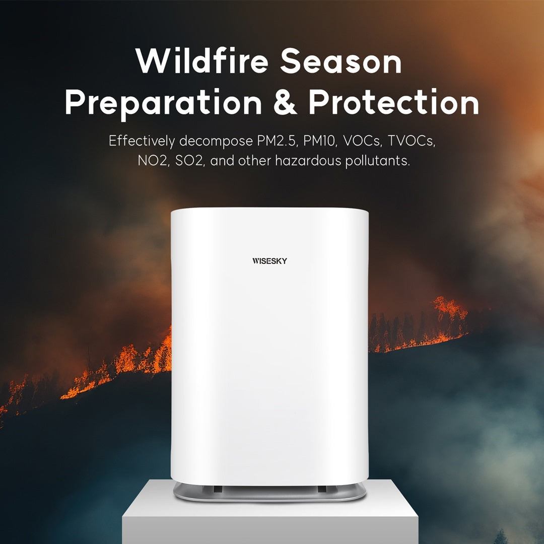 WiseSky Pet Air Purifier for Home, 3-in-1 HEPA Filter, Remove Odor&Dan ...